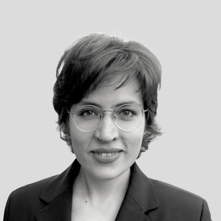 Isabella Weber - Politik & Ökonomie Blog